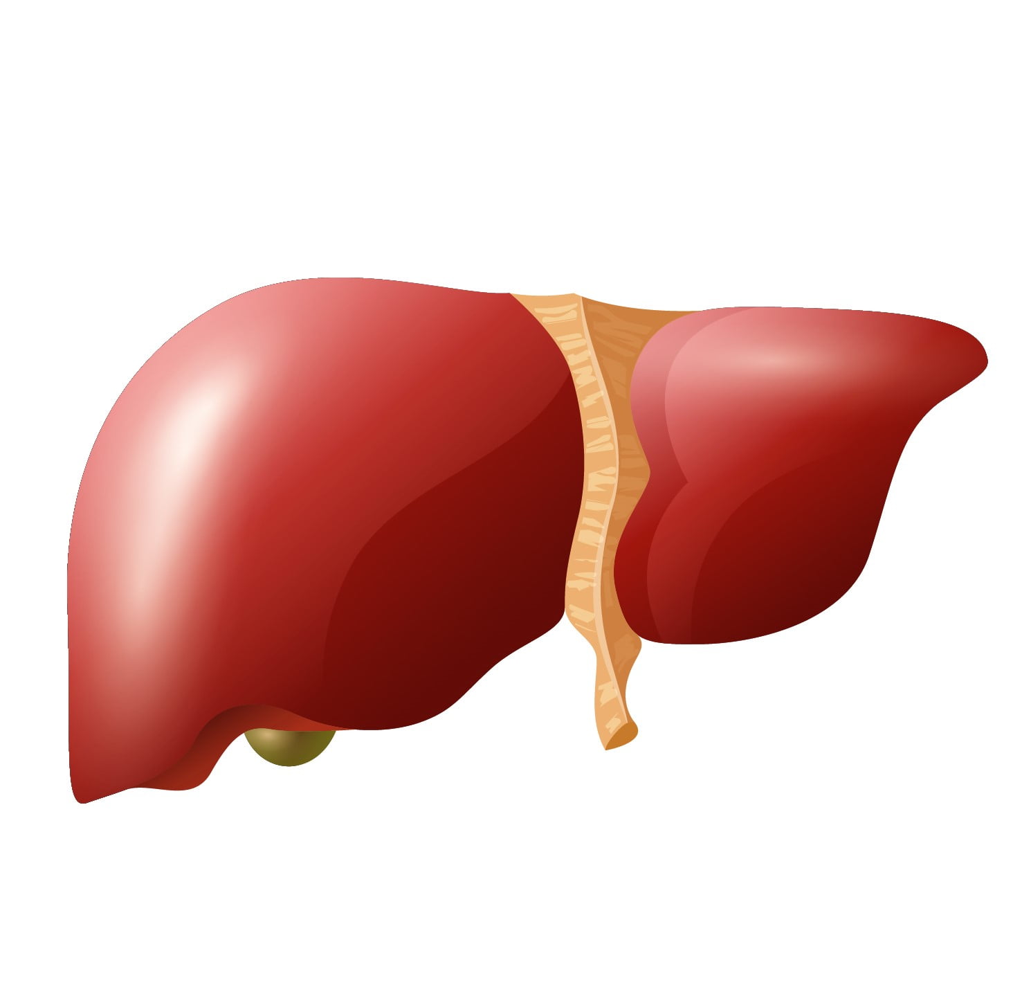 Veroudering - Acupunctuur en Gezondheidscentrum Chen