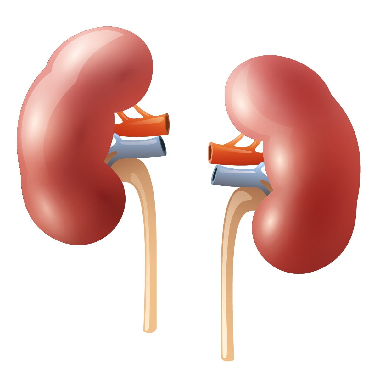 Veroudering - Acupunctuur en Gezondheidscentrum Chen