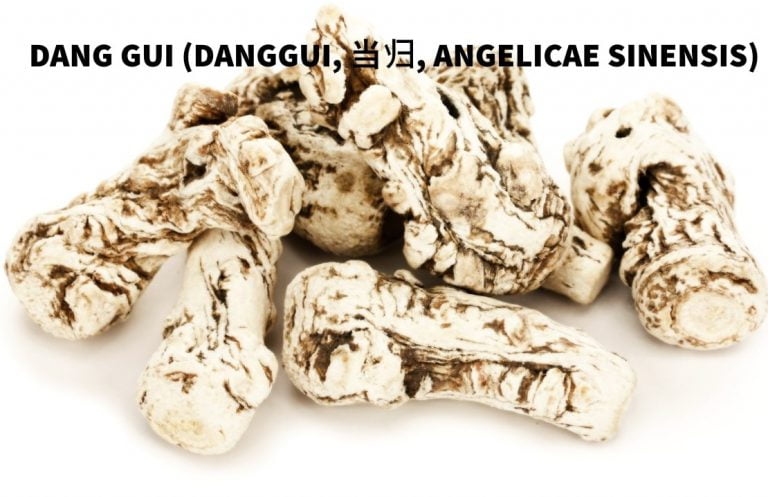 Dang Gui (当归) - Acupunctuur en Gezondheidscentrum Chen